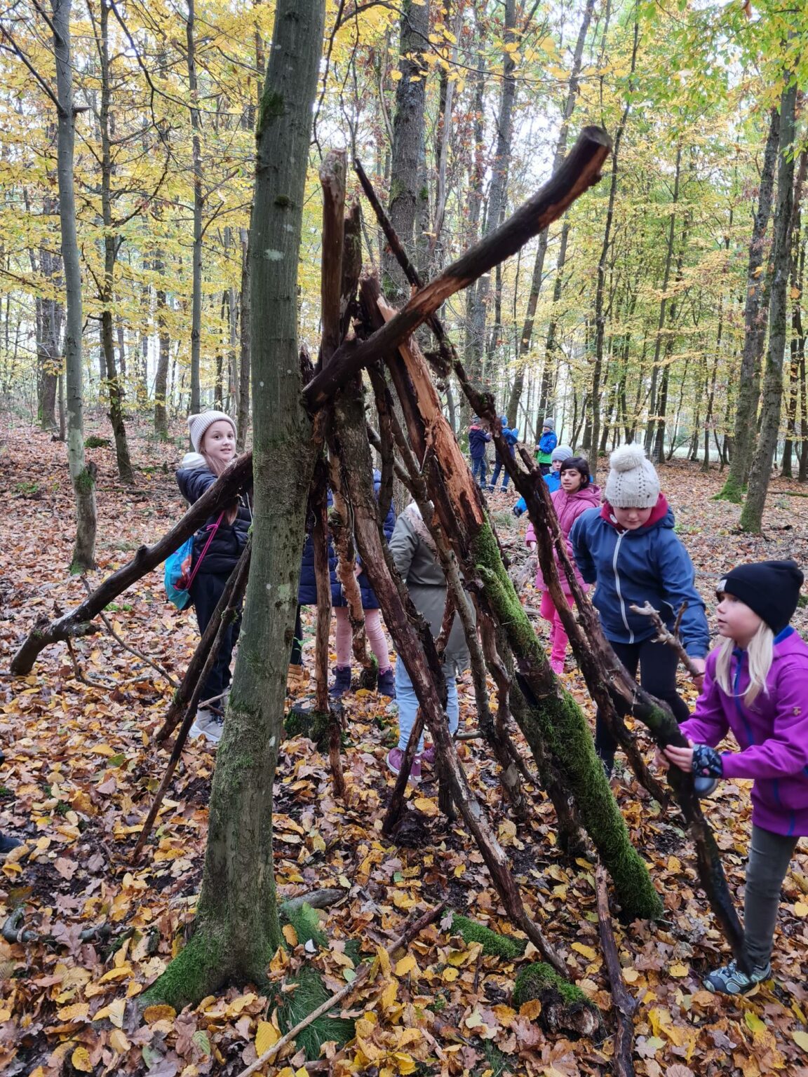 Zu Besuch im Wald – Grund- und Mittelschule Oberkotzau